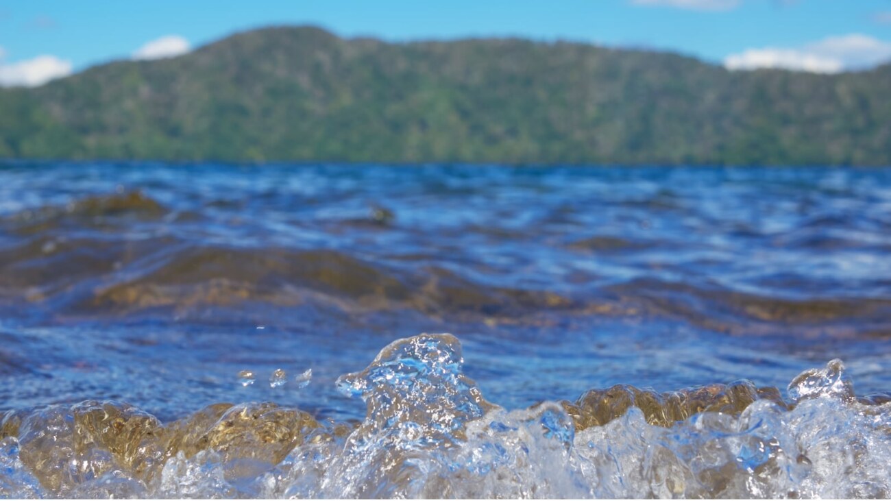 Oscillog/オシログ