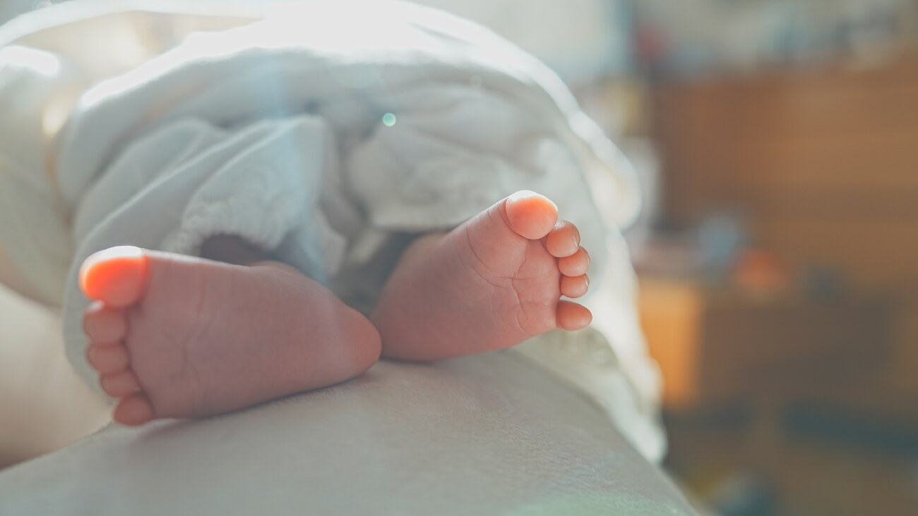 【2025年最新版】YouTube撮影＆ブログにおすすめの撮影機材まとめ｜オシログ愛用ギアを全公開！ | オシログ / Oscillog